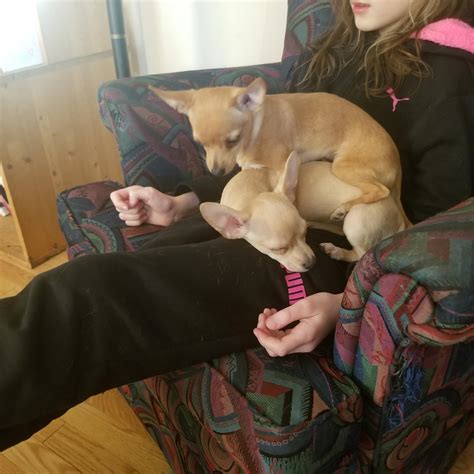 Discover More Like Eyebleach Cuddle Puddle And Related Content Scrolller