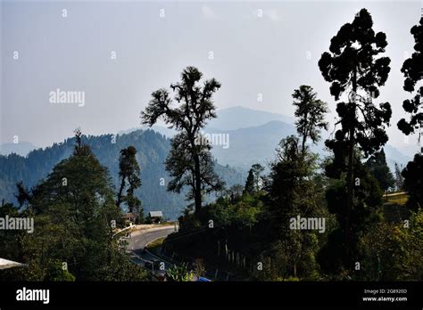 Ariel View Landscape With Tree Ridges And Curvy Road Highway Stock Photo Alamy
