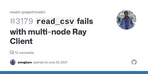 `readcsv` Fails With Multi Node Ray Client · Issue 3179 · Modin