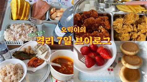 Vlog 13 확진자의 먹방 격리 브이로그 슬기로운 격리 생활 재택 치료 확진부터 격리 해제까지의 브이로그