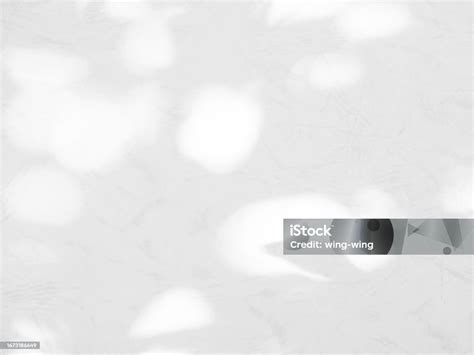 그림자 잎 식물 나뭇잎 꽃 배경 하얀 태양 빛 오버레이 자연 나뭇가지 벽 단풍 식물 추상적인 햇빛 배경 최소한의 모형 질감 잔디 꽃 햇빛 장면 여름 0명에 대한 스톡 사진