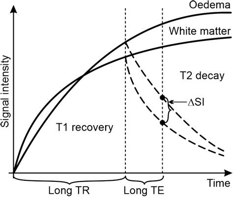 Relation Between Relaxation Rate And Signal On T2 Weighted Pulse Download Scientific Diagram