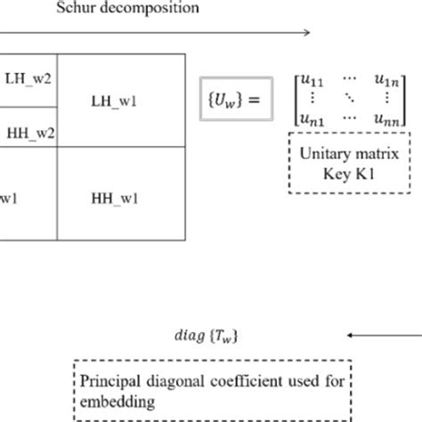 Block Diagram Representation Of Pre Processing Of The Watermark Image Download Scientific Diagram
