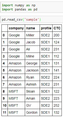 Data Science Machine Learning Pandas Input Output Coding Interview Questions With