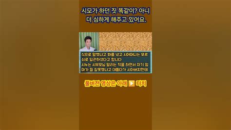 시모가 하던 짓 똑같이 아니 더 심하게 해주고 있어요 Youtube