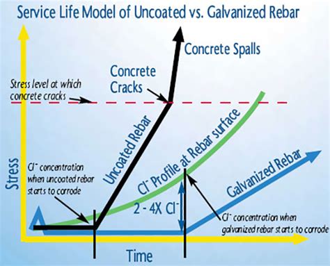 Corrosionmodel Galvanized Rebar
