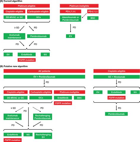 New Paradigm Of First Line Treatment In Advanced Urothelial Carcinoma Proposal For A Revised