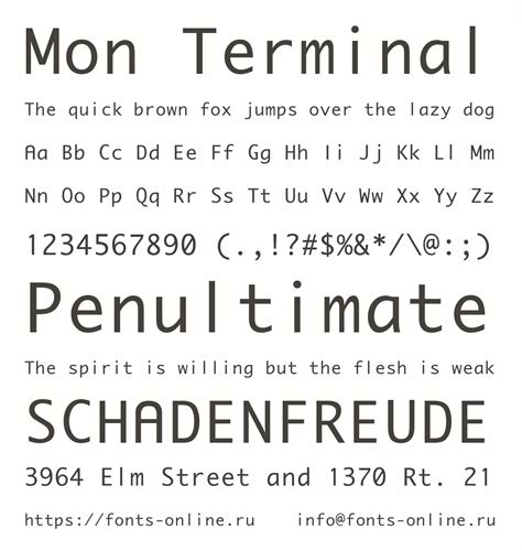 Mon Terminal Font