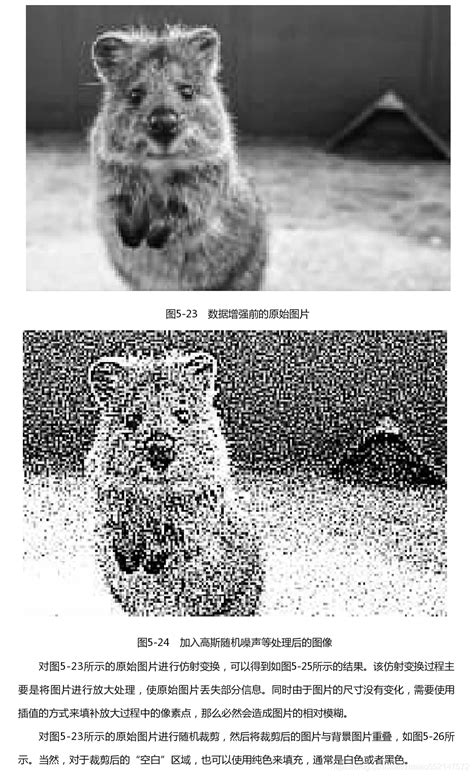 数据增强：imagedatagenerator类实现pytorch 有没有imagegenerator Csdn博客