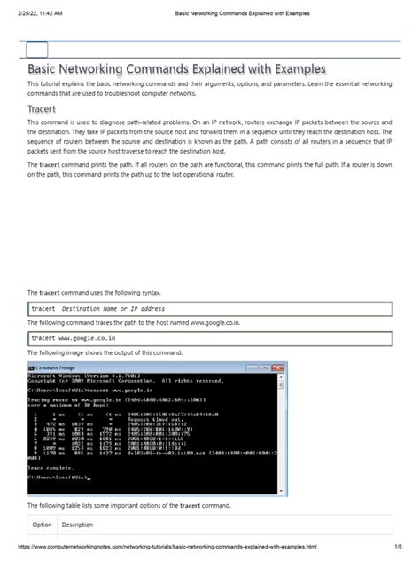 Basic Networking Commands Explained With Examples Pdf Domain Name