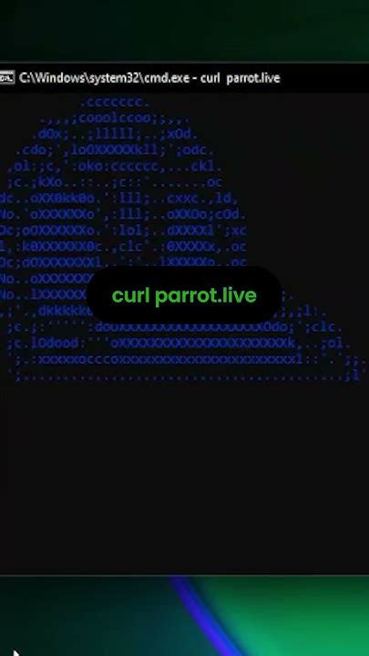 Cmd Ile Eğlenceli Bir Deneyim Curl Komutu Youtube