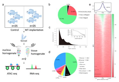 Integration Of Atac Seq And Rna Seq Unravels Chromatin Accessibility