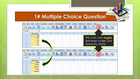 Spss Series Data Entry And Coding Pdf