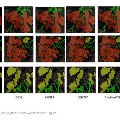 Helong Yus Research Works Jilin Agricultural University And Other Places