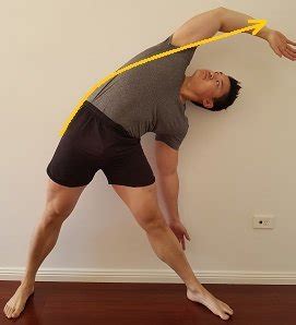 The 13 Best Quadratus Lumborum Stretches For Back Tightness Posture