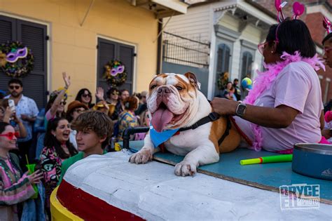 Bryce Ell Photography