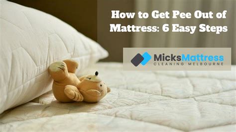 How To Get Pee Out Of Mattress 6 Easy Steps To Eliminate Pee