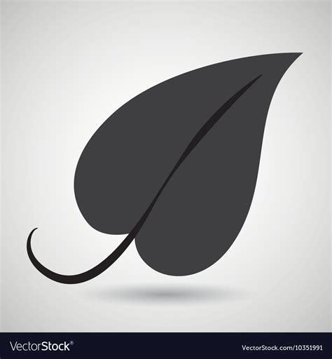 Leaf Plant Natural Sheet Royalty Free Vector Image