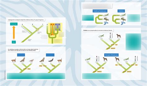 Bio 1001a Final Diagram Quizlet
