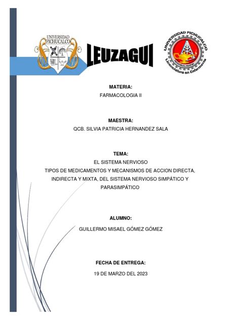 Mapa Conceptual Sistema Nervioso Y Sus Funciones Descargar Gratis Pdf