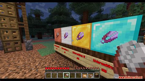 Invisible Item Frames Data Pack 1minecraft