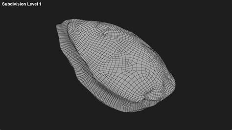 3d Almond Shell 01 Turbosquid 1999133