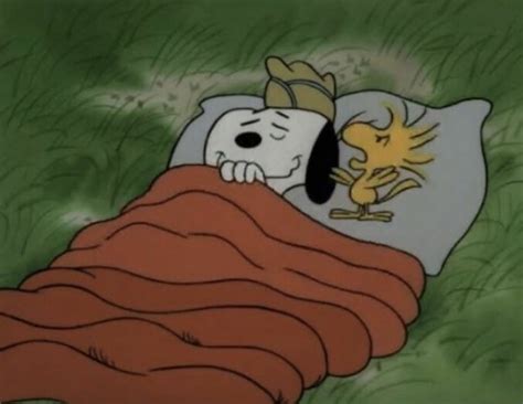 Bug Entity On Tumblr