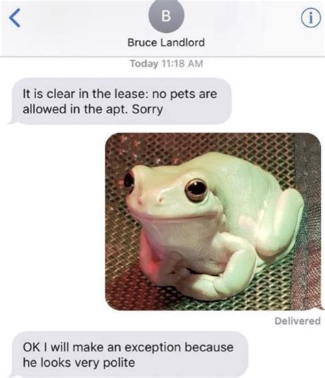 Polite Phroggie Rwholesome