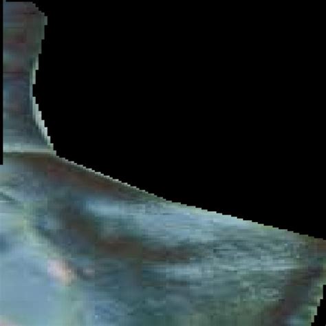 Cabbage Object Detection Model V8 2024 04 09 8 56am By Disease Research