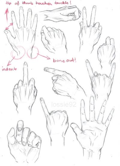 How To Draw The Basics Of Feet And Hands Tumbex