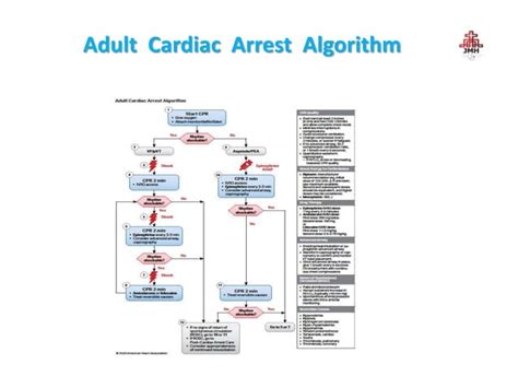 Code Blue Protocol Pptx Cardiac Arrest Management In Hospital Pptx