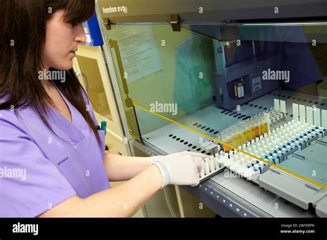 Sample Loading Tecan Automated Samples Handling Dna And Rna Biobank Extraction And Storage Of