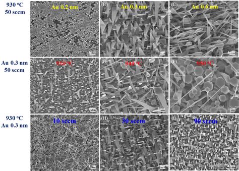 Morphologies Of Zno Nanostructures Fabricated At Different Conditions Download Scientific