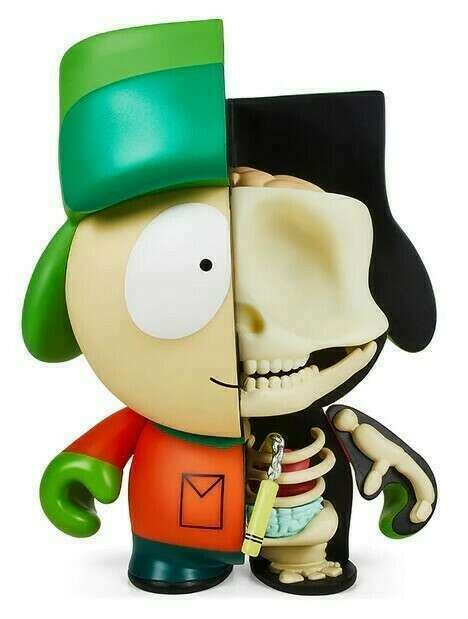 South Park Anatomy Kyle Art Toys Hobbydb