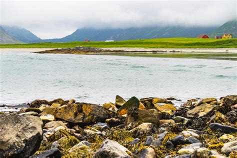 Skagsanden Beach On Flakstadoy Island Lofoten Norway Stock Image