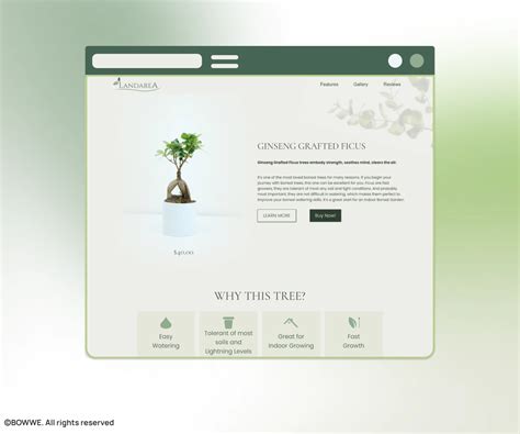 14 gorgeous website background example to stuns your audience