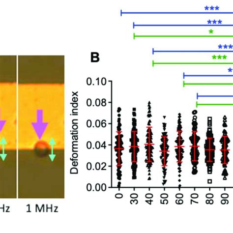 Dielectrophoretic Deformation Of U87 Glioma Cells A Deformation Of A Download Scientific