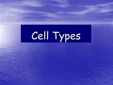 PPT Cell Types PowerPoint Presentation Free Download ID 5292877