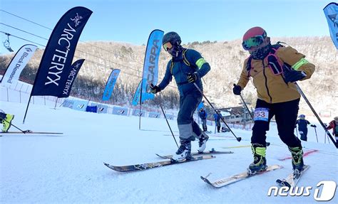 스키 신고 슬로프 오르는 산악스키어들 네이트 스포츠