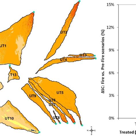Simulated Scenario Of Sediment Connectivity And Main Forest