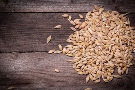 Barley The Superfood That Can Help You Lose Weight