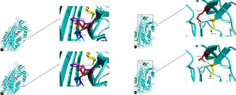 Analysis Of Phenotype And Gene Mutation In Three Pedigrees With Inherited Antithrombin