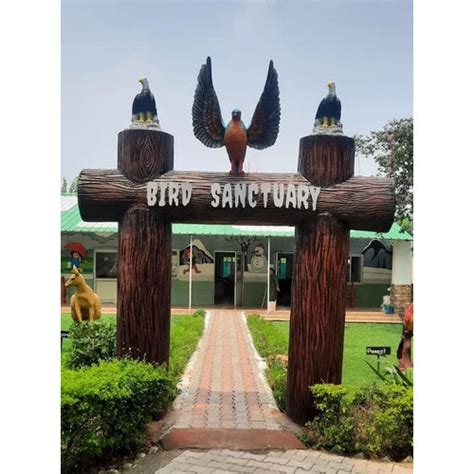 Frp Bird Sanctuary Entrance Gate Application Garden At Best Price In