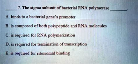 7 The Sigma Subunit Of Bacterial Rna Polymerase A Binds