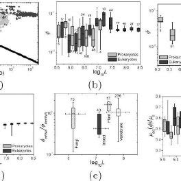 a Log log plot of order index φ vs length of random sequence for Download Scientific