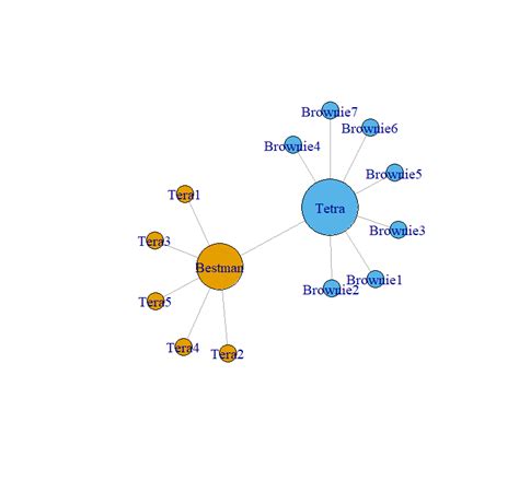 R How To Make Two Networks Connected With Selected Members Stack