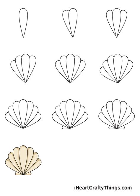 How To Draw A Seashell Step By Step Guide Summer Drawings Easy Drawings Sea Drawing
