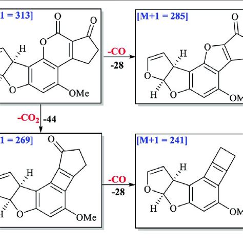 Fragmentation Pathway Of Afb 1 Download Scientific Diagram