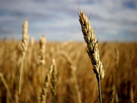 140 Пейзажі шпалери на робочий стіл Hd Скачати Безкоштовно заставки