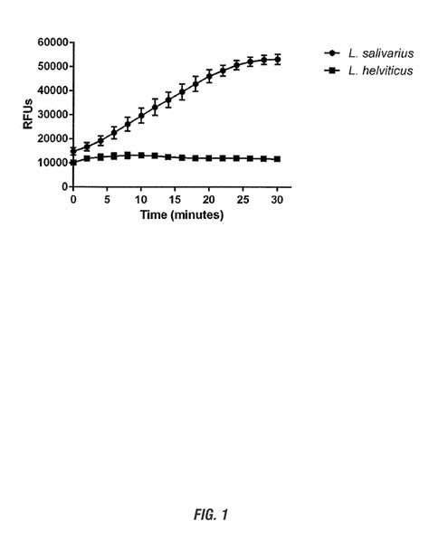 Neurotransmitter Transport In Probiotics Eureka Patsnap